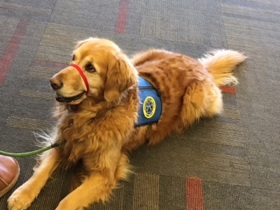 BCH Canine Corps Annual Meeting